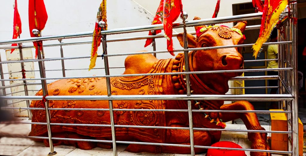 Nandi baba – Free Image Kart